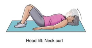 Spine Exercises - Spine and Brain